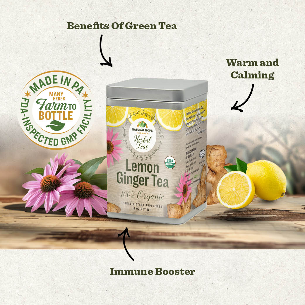 Organic Lemon Ginger Tea: Loose Leaf | Natural Hope Herbals