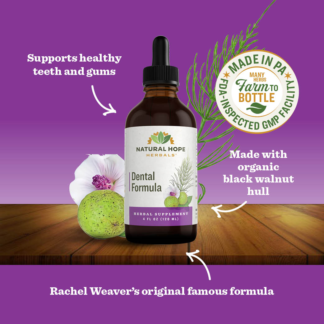Dental Formula: Natural Oral Care by Natural Hope Herbals
